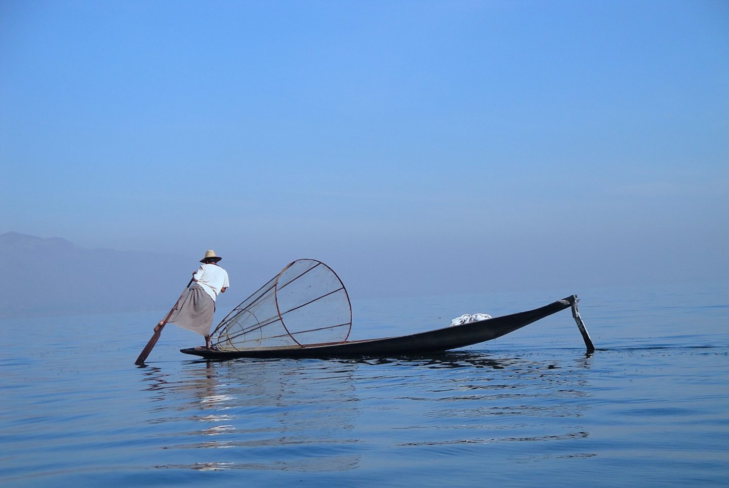 Infographic Shrinking Fish - Nereus Program - The Nippon Foundation