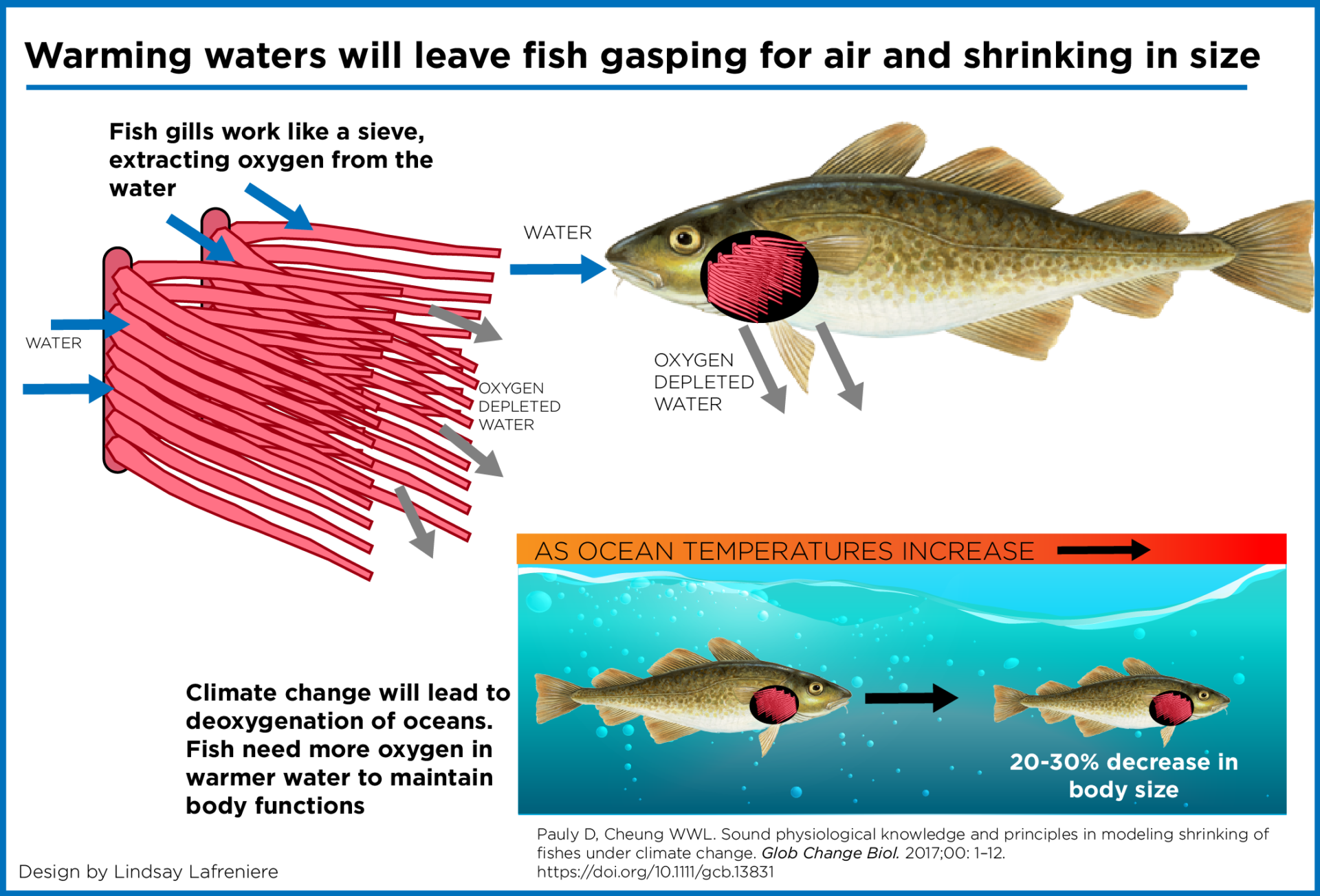 Infographic Shrinking Fish - Nereus Program - The Nippon Foundation
