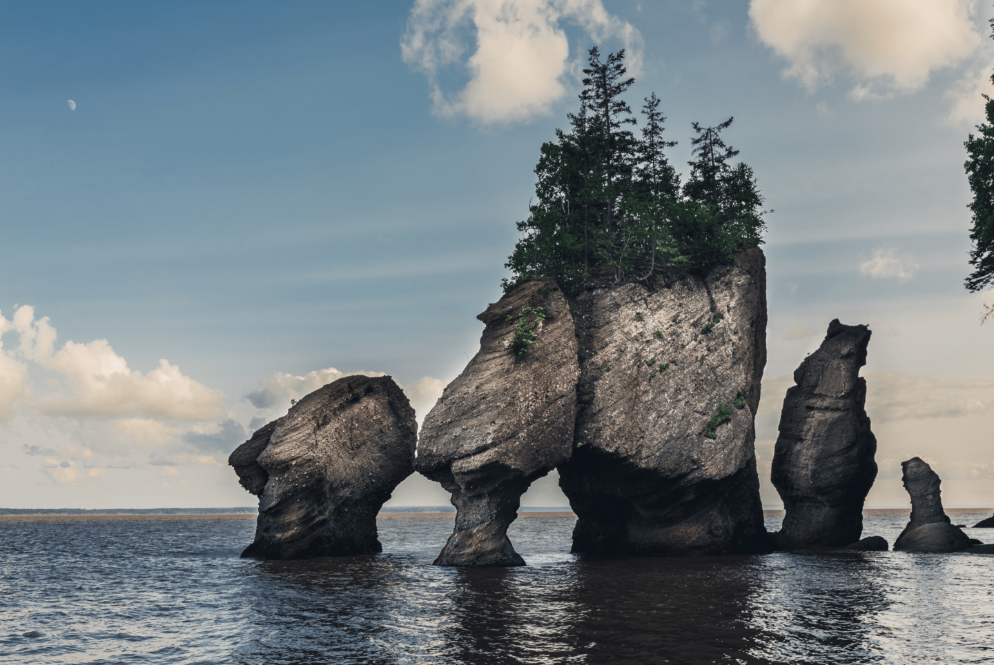 Tyler Eddy - Nereus Program - The Nippon Foundation