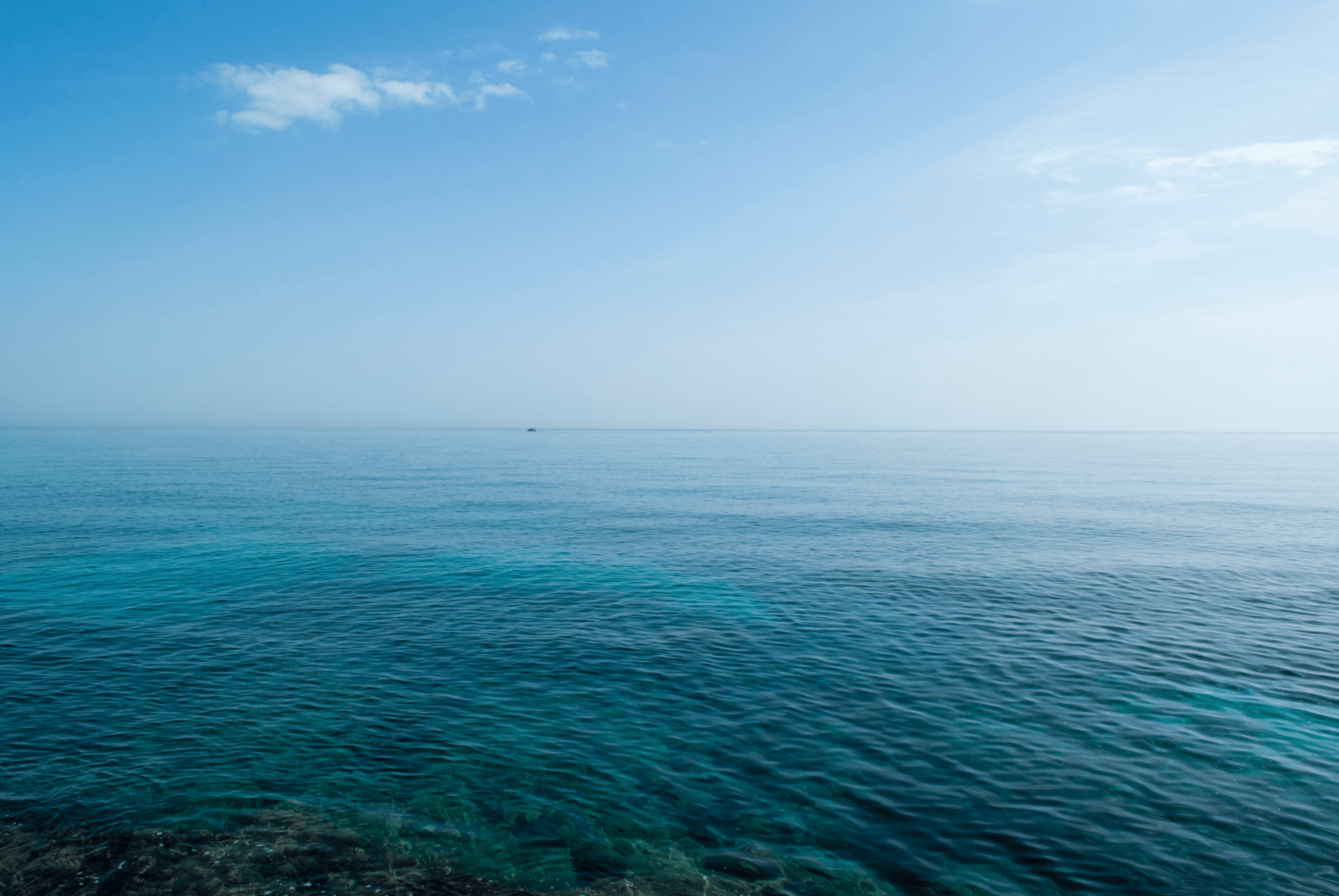 Home - Nereus Program - The Nippon Foundation