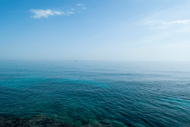 Home - Nereus Program - The Nippon Foundation